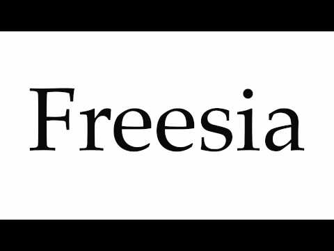 How to Pronounce Freesia