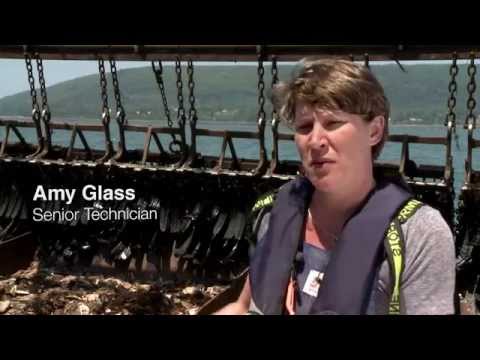 From Science to Sustainability: Sea Scallops in the Maritimes