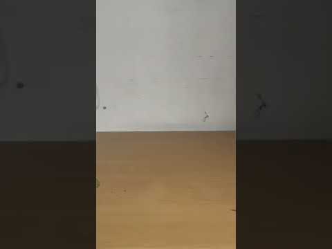 👨🏼🔬Boyle's law example with Balloon & Stro bottle 🤯 school science experiment