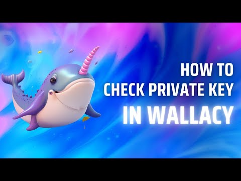 How to Check Private Keys and Mnemonic Phrases in Wallacy|Beginner’s Guide