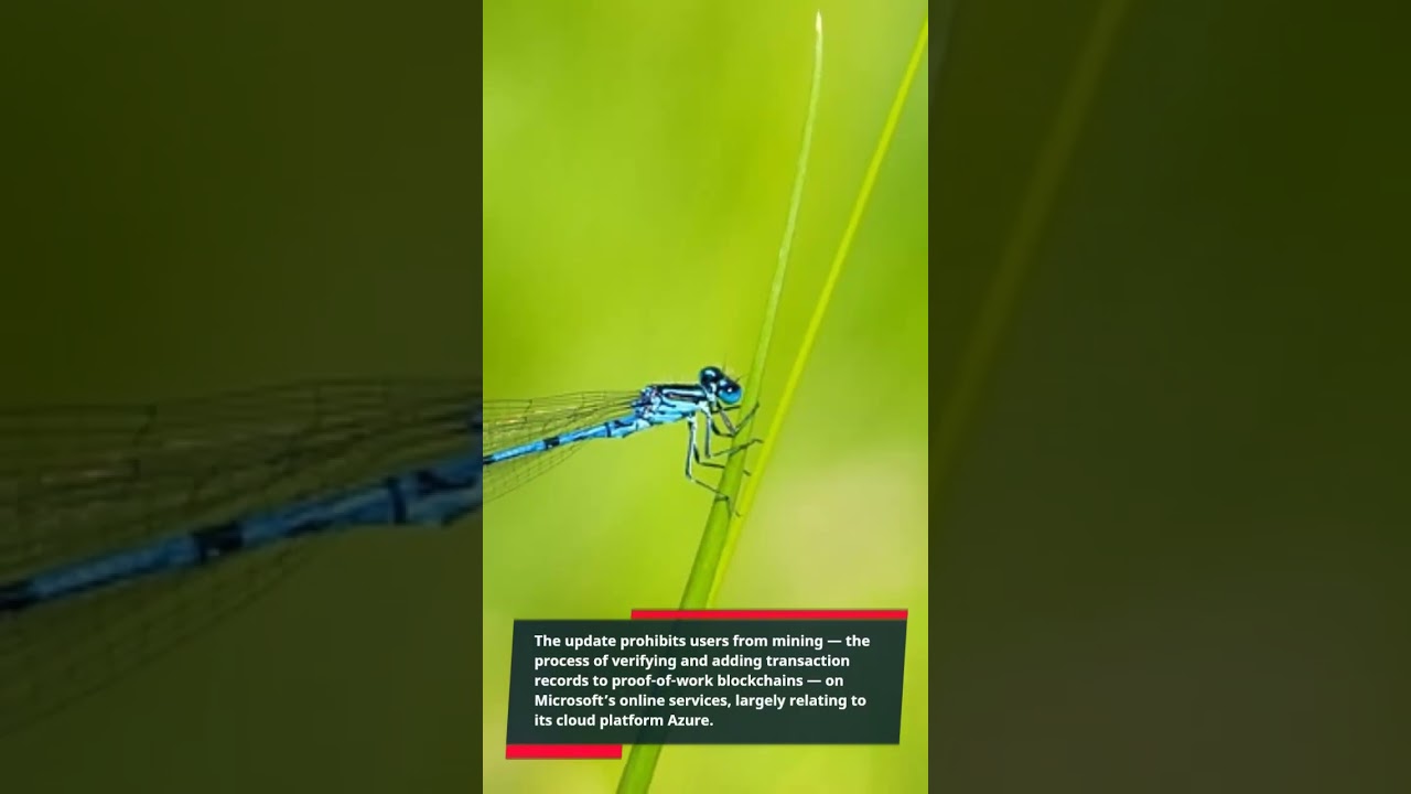 Microsoft prohibits crypto mining on online services without permission