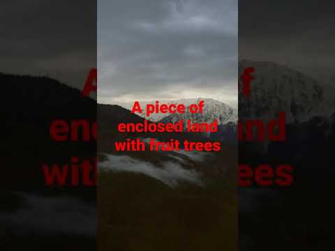 Orchard meaning