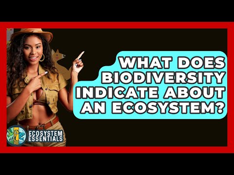 What Does Biodiversity Indicate About An Ecosystem? - Ecosystem Essentials