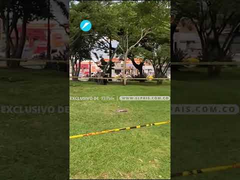 Un cuerpo calcinado fue hallado en separador vial de Cali | El País Cali