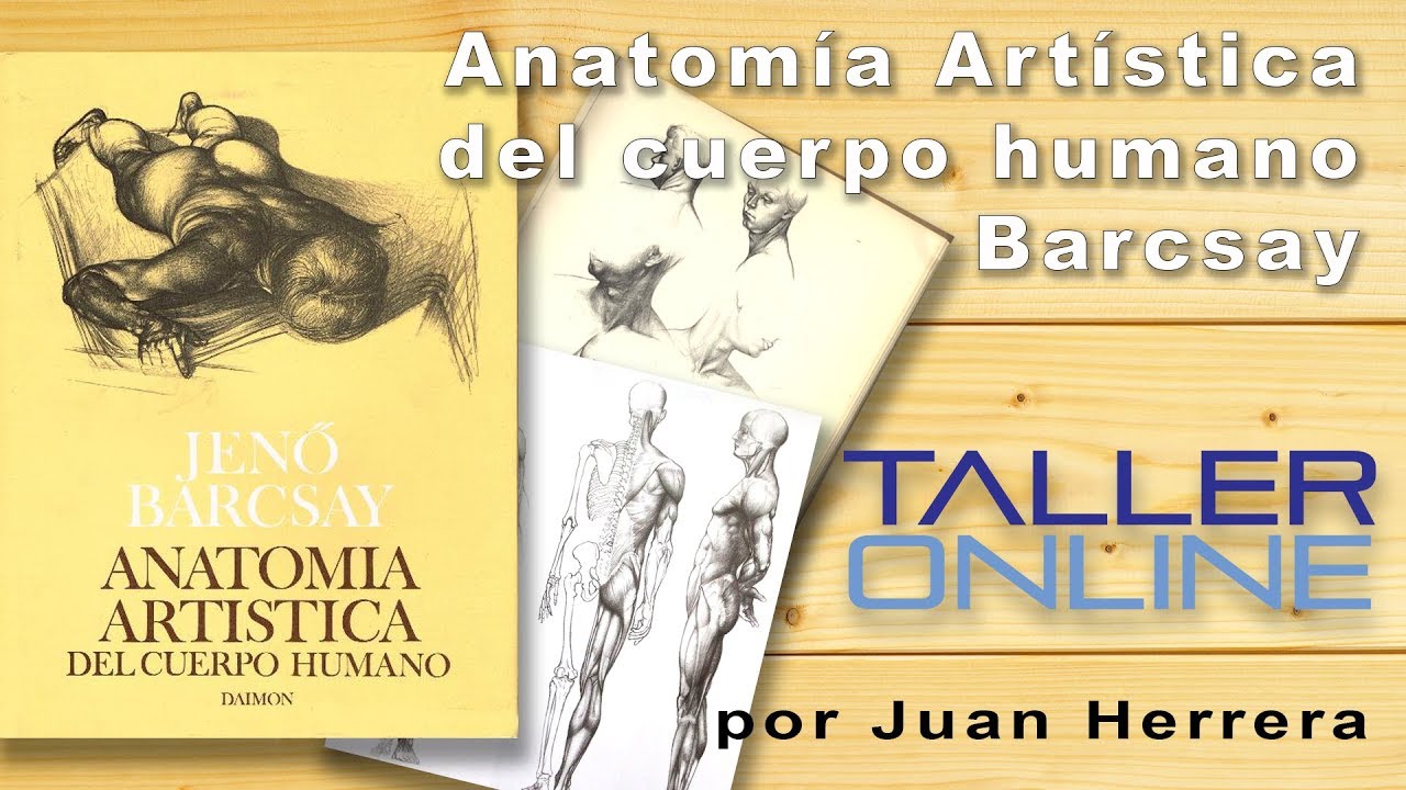 Review Libro Anatomía Artística del Cuerpo Humano de Jeno Barcsay