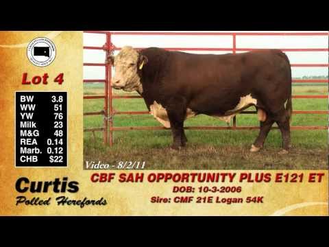 Lot 4: CBF SAH OPPORTUNITY PLUS E121 ET