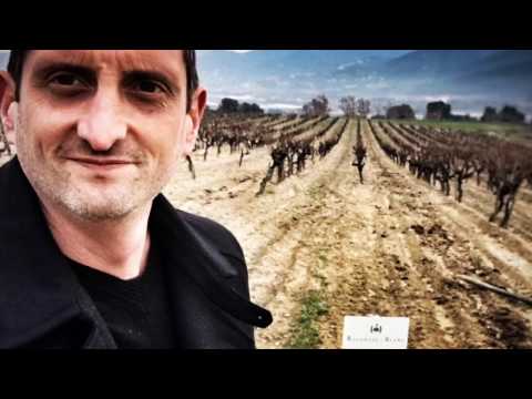 Wine Trip to Raventos i Blanc Winery