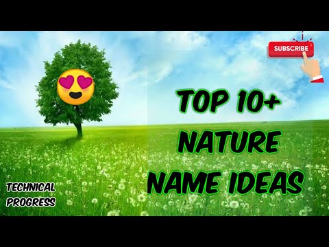 Top 10+ Nature name ideas for startup your business | nature name ideas | nature name blog