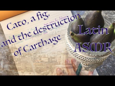 Cato, a Fig, and the Destruction of Carthage 🍊🏛 Latin ASMR