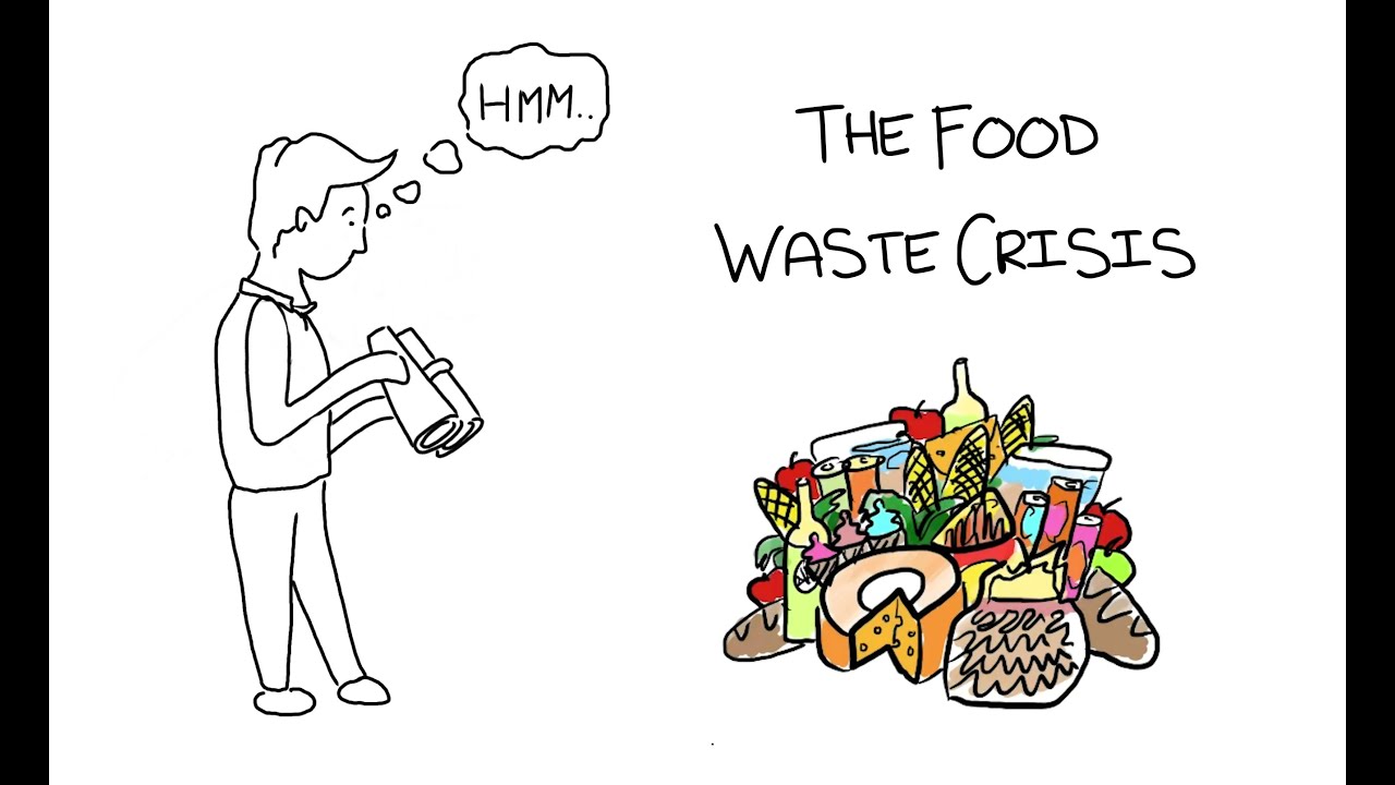 The 11 Best Documentaries About Food Waste - Documentarytube.com