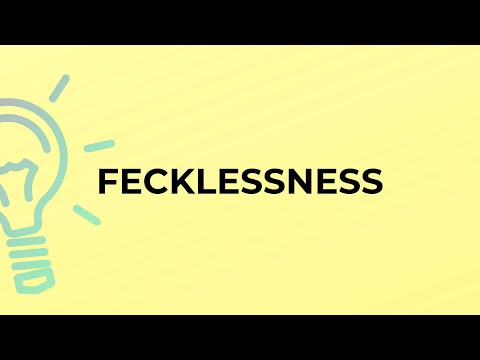 What is the meaning of the word FECKLESSNESS?