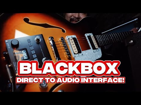 M-Vave Blackbox Direct To Audio Interface!