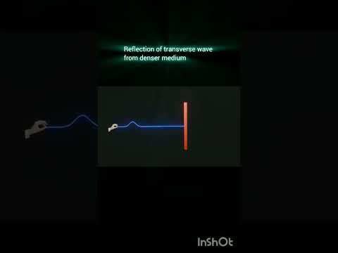 Reflection of transverse wave from denser medium|| #physics #science #physicsanimation