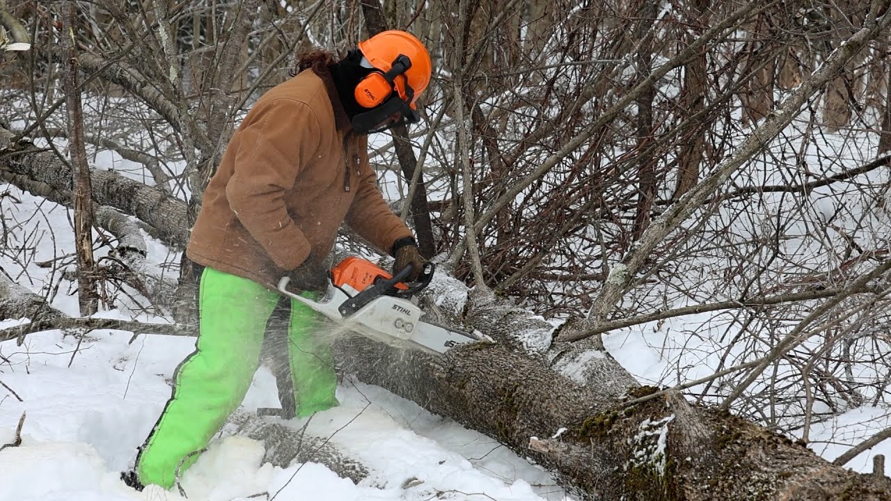 Program Spotlight: Conservation