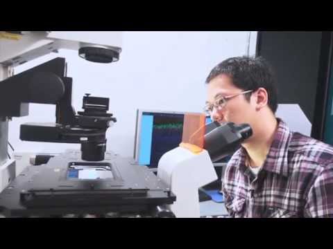 Hong Kong University of Science and Technology's State Key Laboratory of Molecular Neuroscience
