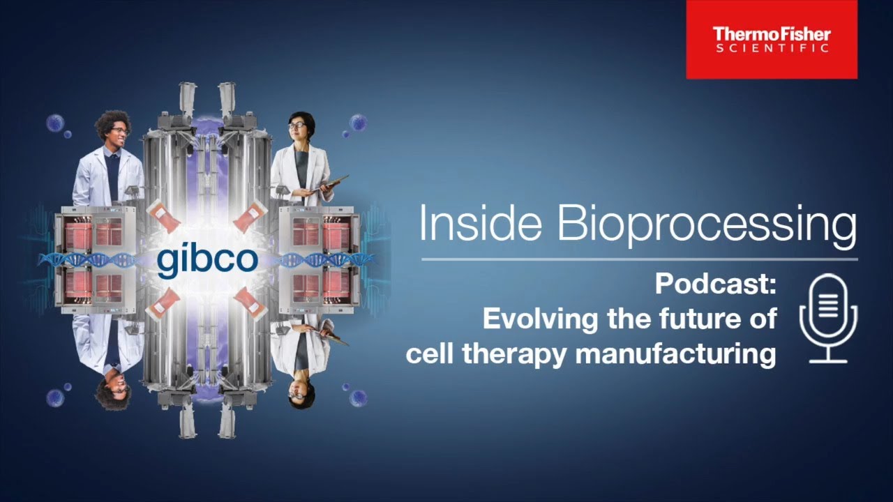 Inside Bioprocessing: Bioprocess Development for Scalable Cell Therapy Manufacturing