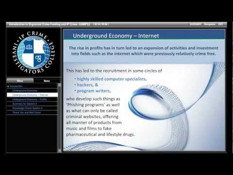 INTERPOL International IP Crime Investigators College (Course Sample)