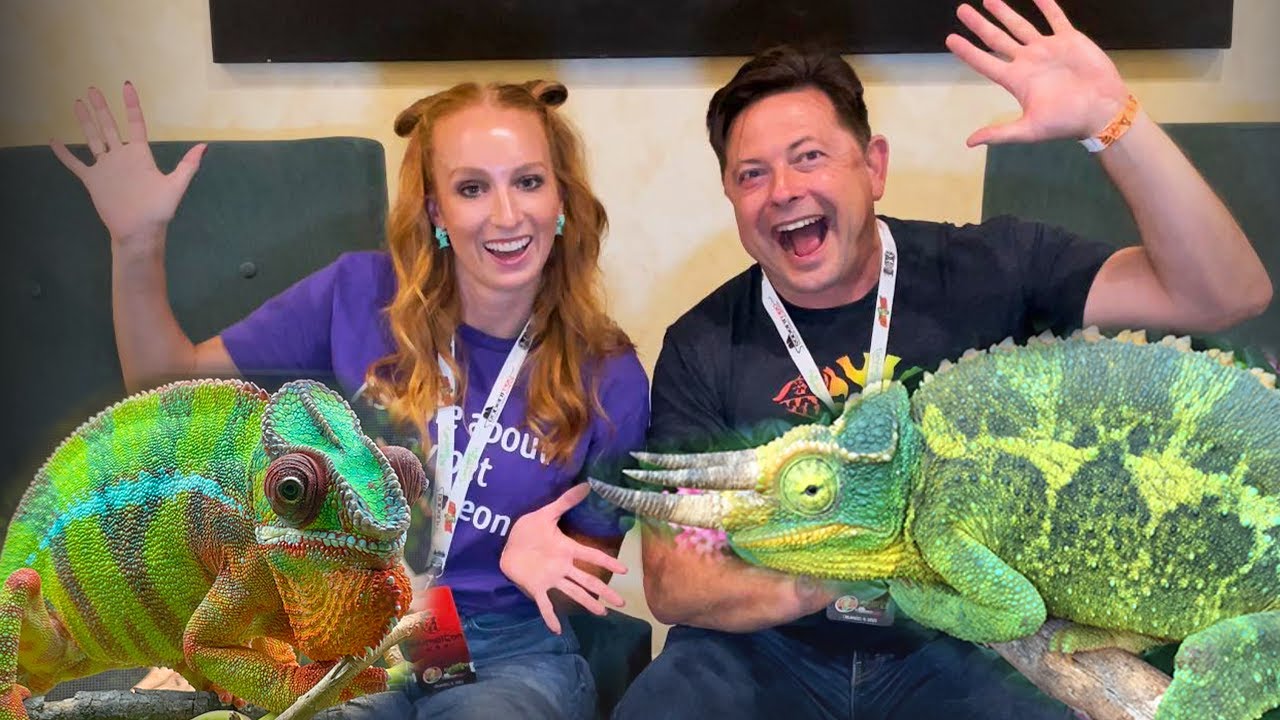 An Interview with Chameleon Academy Bill Strand