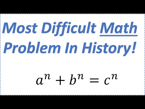 The Most Difficult Math Problem In The History! (358 Years To Solve)