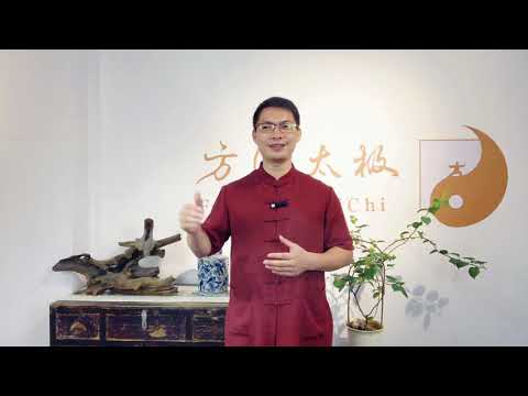What's the difference between Chen and Yang Style TaiChi | Authentic Chinese Tai Chi Master