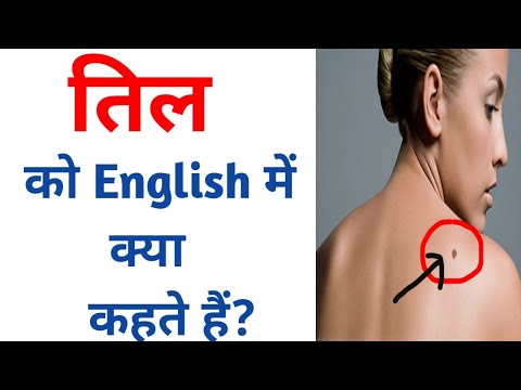 til ko English mein kya kahte hain