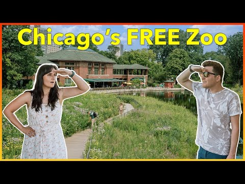 Hangin’ out at the Lincoln Park Zoo (Free things to do Chicago)