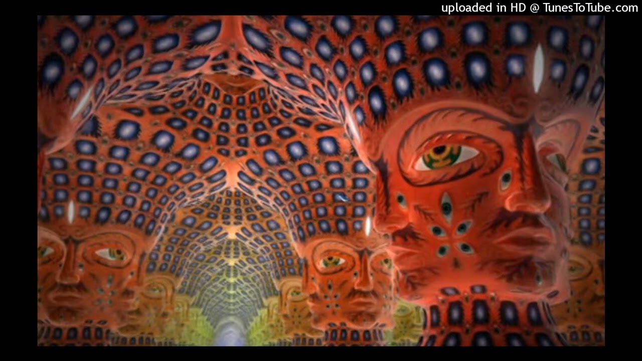 Tool - Vicarious [Drop C#]