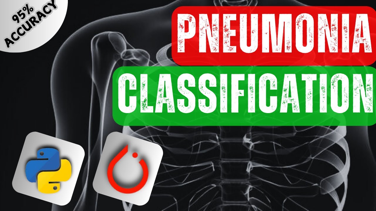 Chest X-Ray Classification | Deep Learning Model | CNN with PyTorch
