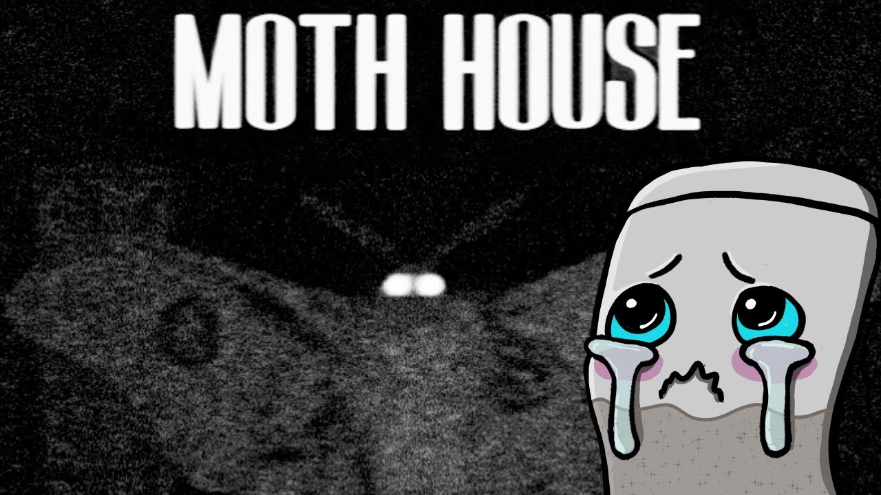 😢 I hate Moths 😢