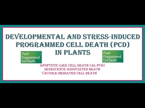 Developmental and Stress-induced Programmed Cell Death (PCD) in Plants
