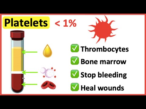 Platelets | What do platelets do?