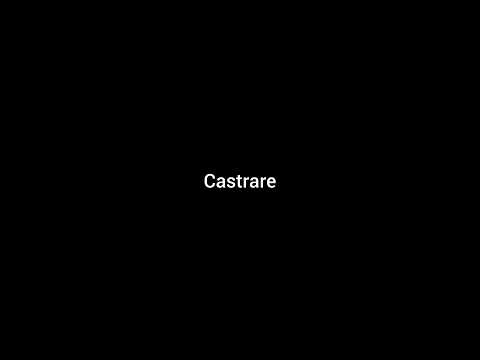 Sinonimi e contrari Castrare #shorts