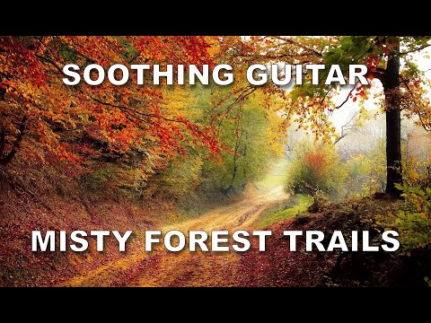 Relaxing Acoustic Guitar Music | Misty Forest Trails & Peaceful Nature Sounds by Arkbo