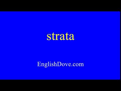 How to pronounce strata in American English.