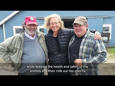 Listen, Watch & Experience NY Dairy: The Words of an Upstate Farmer on Quality Products Found in NYC