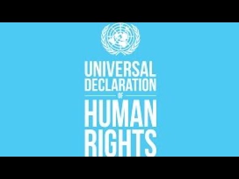IL-2, The UDHR #un #UDHR #humanrights #internationallaw #psc #loksewa