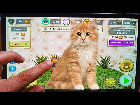 Cat Simulator 2020 #5 Cat Sim Online Game - Play with Cat Clan Pet Simulator 2020 - Android Gameplay