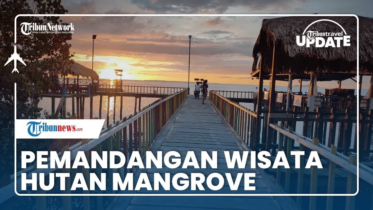 Tempat Wisata Menarik di Sulawesi Utara, Hutan Mangrove Desa Budo Masuk ...