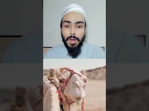 How to stay motivated || ہمیشہ موٹیویٹ کیسے رہیں || hindi || urdu || Hamesha motivate Kaise Rahe
