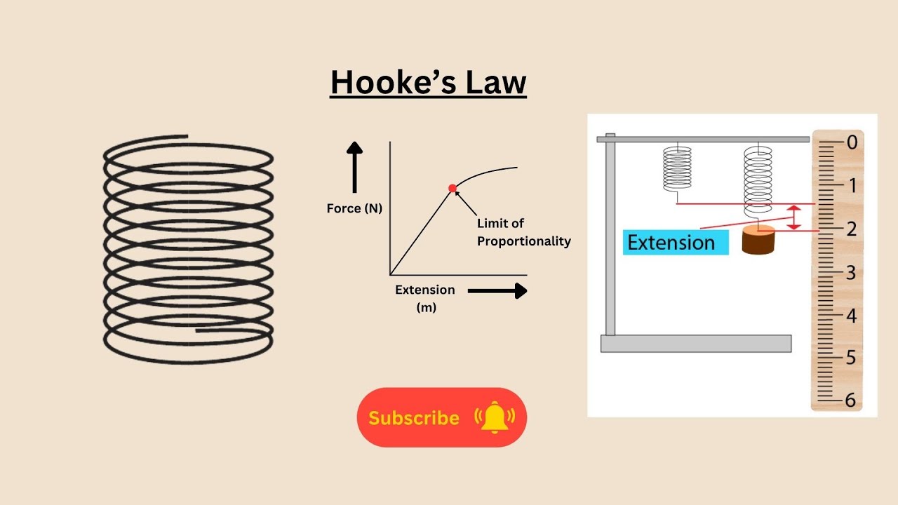 Hooke’s Law for AQA GCSE Physics and GCSE Combined science