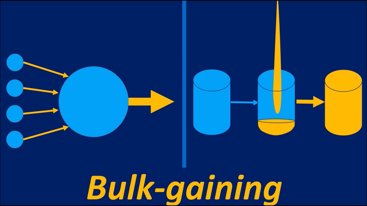 Understanding Bulk-Gaining Industries: Characteristics and Examples ...