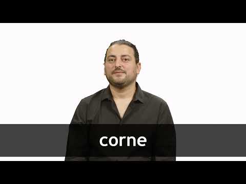English Translation of “CORNE” | Collins French-English Dictionary