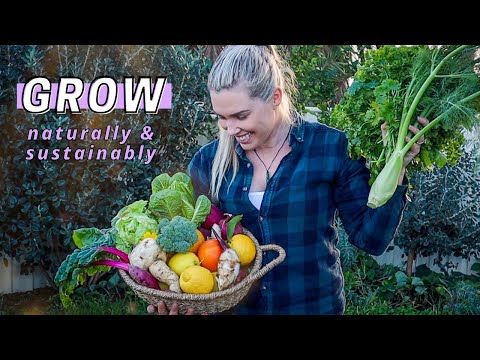 Harvesting from my Sustainable Urban Permaculture Garden // July Edible Garden