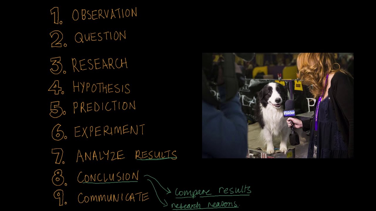 Scientific method & lab reports