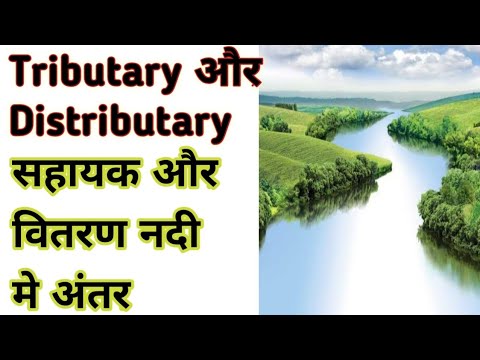Difference between Tributary and Distributary. #shorts