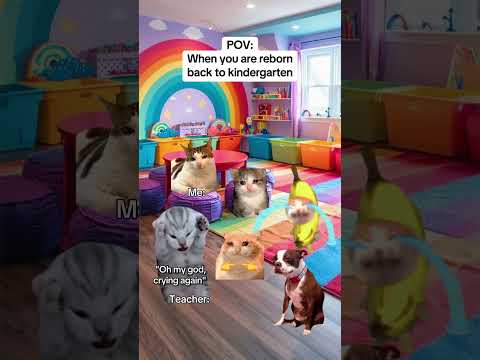 CAT MEMES π±When you are reborn back to kindergarten #catmemes #relatable #relationship