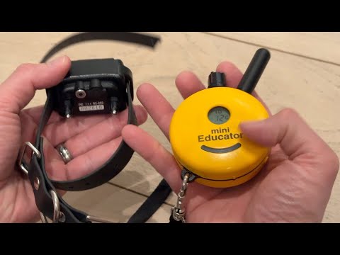 Dog Training E-Collar ET-300 Mini Educator & PetsTEK Clicker. B01CRLQBXO