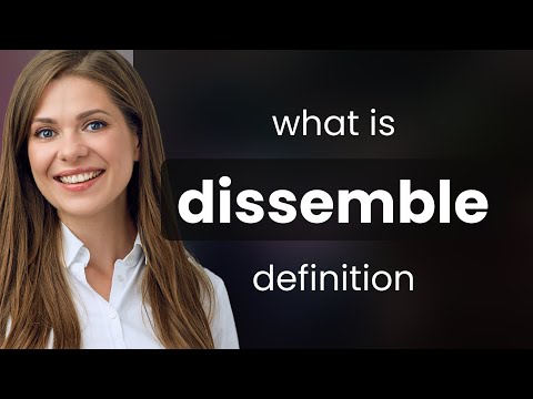 Dissemble • what is DISSEMBLE definition