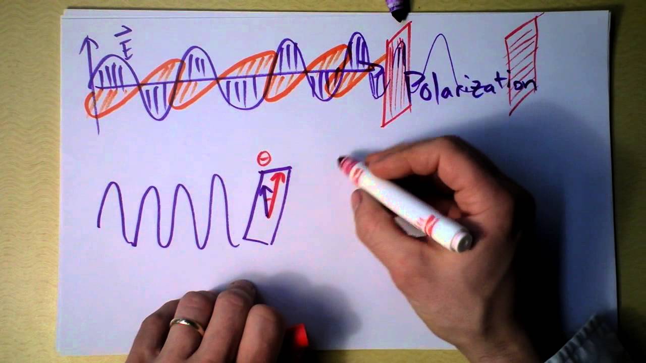 Intro to Polarization Filters!  or...why are those sunglasses so expensive? | Doc Physics