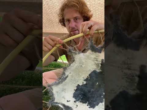How to tan hides using tree bark part 3 #primitive #bushcraft #survival #hidetanning